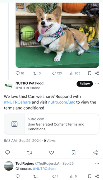 How to Get UGC: 8 Strategies to Encourage User-Generated Content