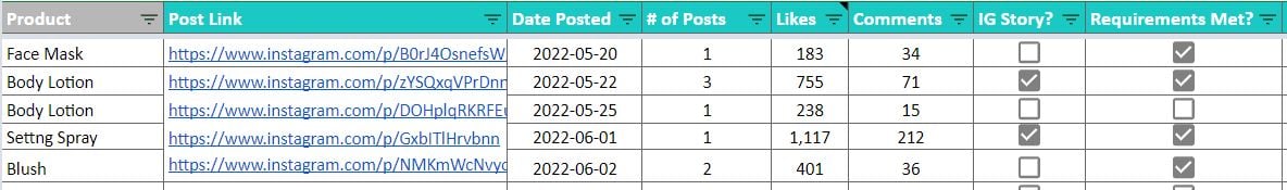 How to Track Influencer Campaigns With Spreadsheets (Template)