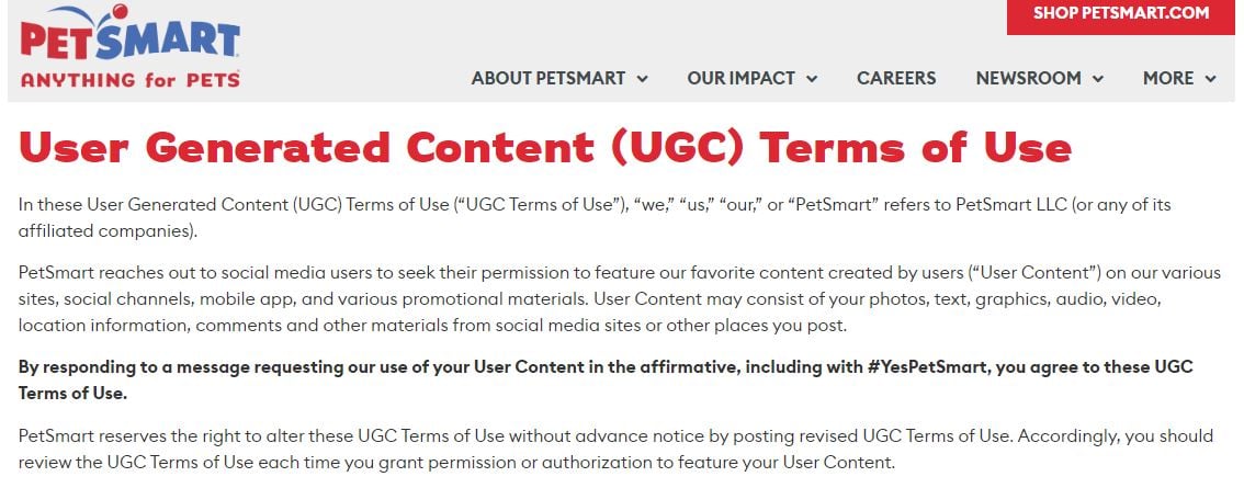 3 Creator Outreach Email Templates to Help Brands Collect UGC
