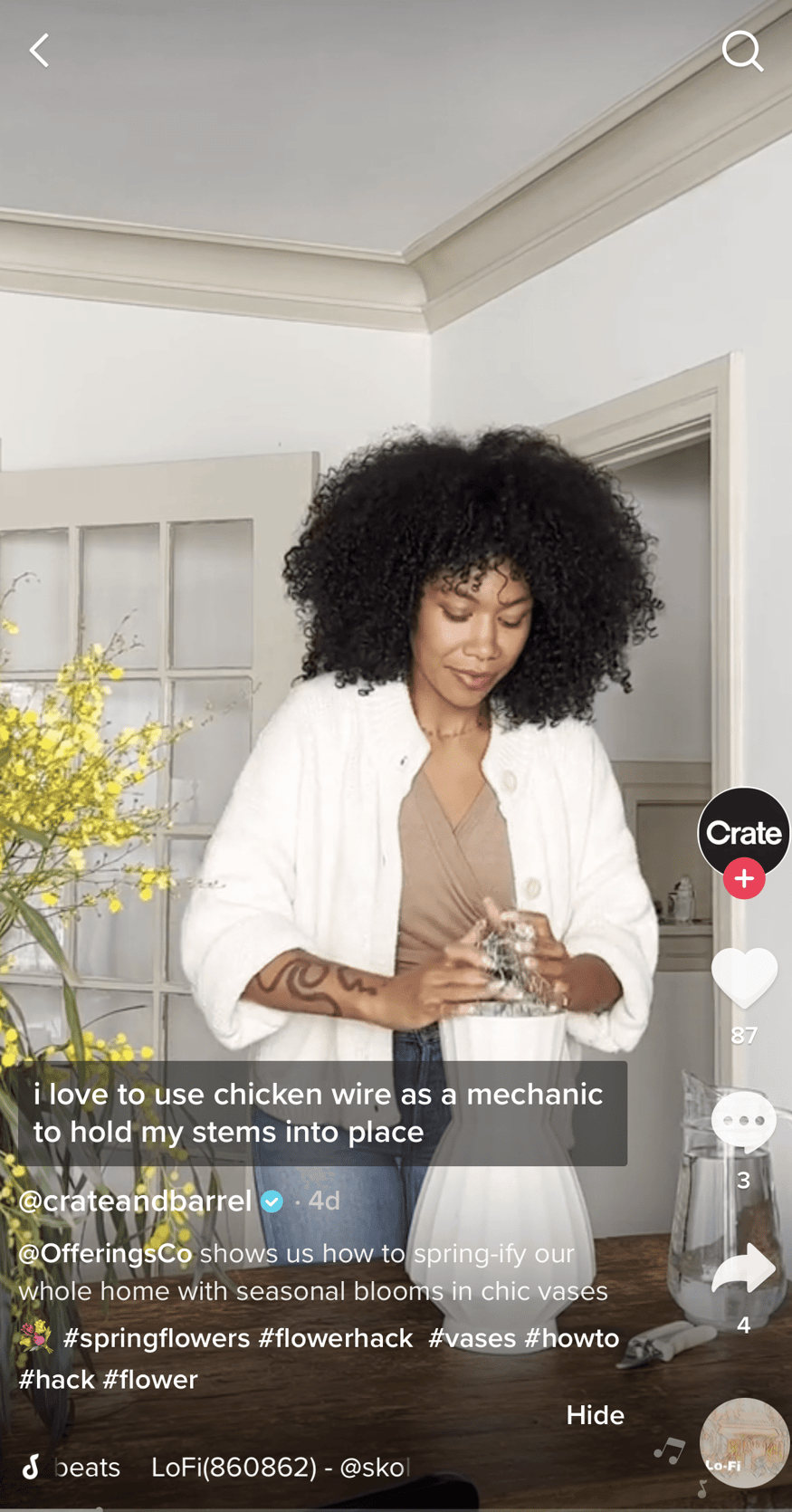 TikTok Account Ideas: 6 Creative Ways to Make Your Profile Stand Out
