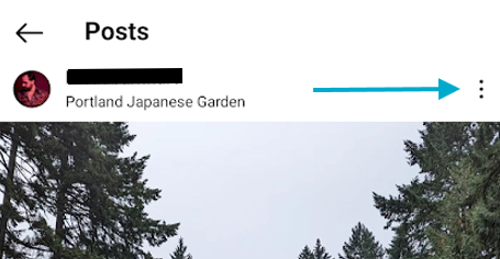 How to Get a Partnership Ad Code on Instagram (Brands & Creators)